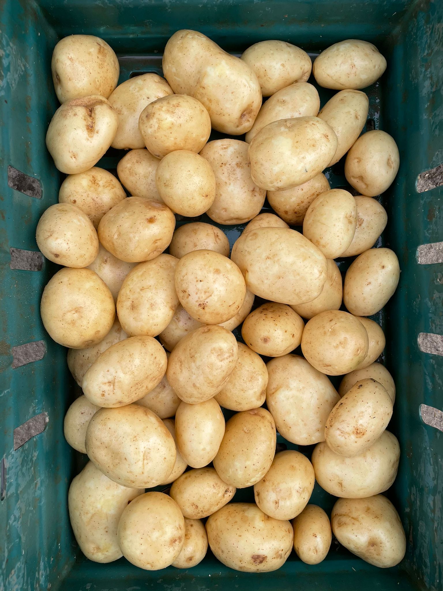 Home - Agripep UK Limited